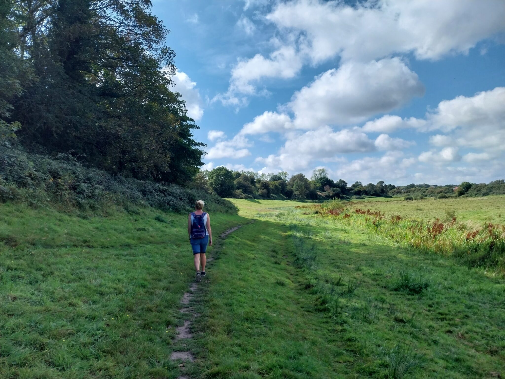 This is Wareham Arc – Purbeck Natural History Forum